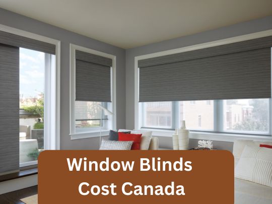 How to Connect and Control Your Smart Blinds Using Alexa – Smart Blinds Shop